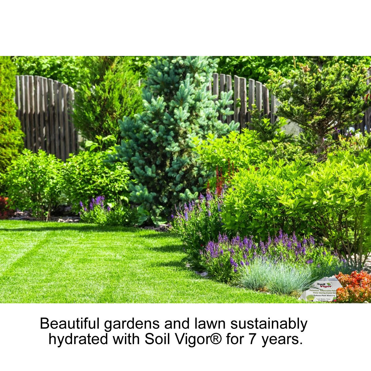 What is Soil Vigor®? Healthier Plants & Water Savings | Moist SAP
