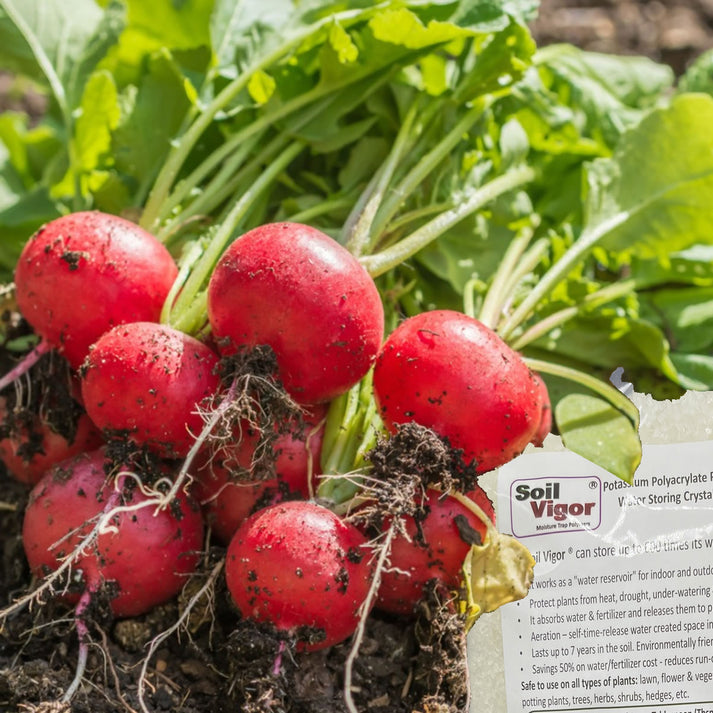 Soil Vigor: 5-10 Mesh (Large Size), 10 lb – Moist SAP