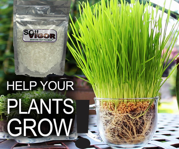 Soil Vigor: 5-10 Mesh (Large Size), 10 lb – Moist SAP